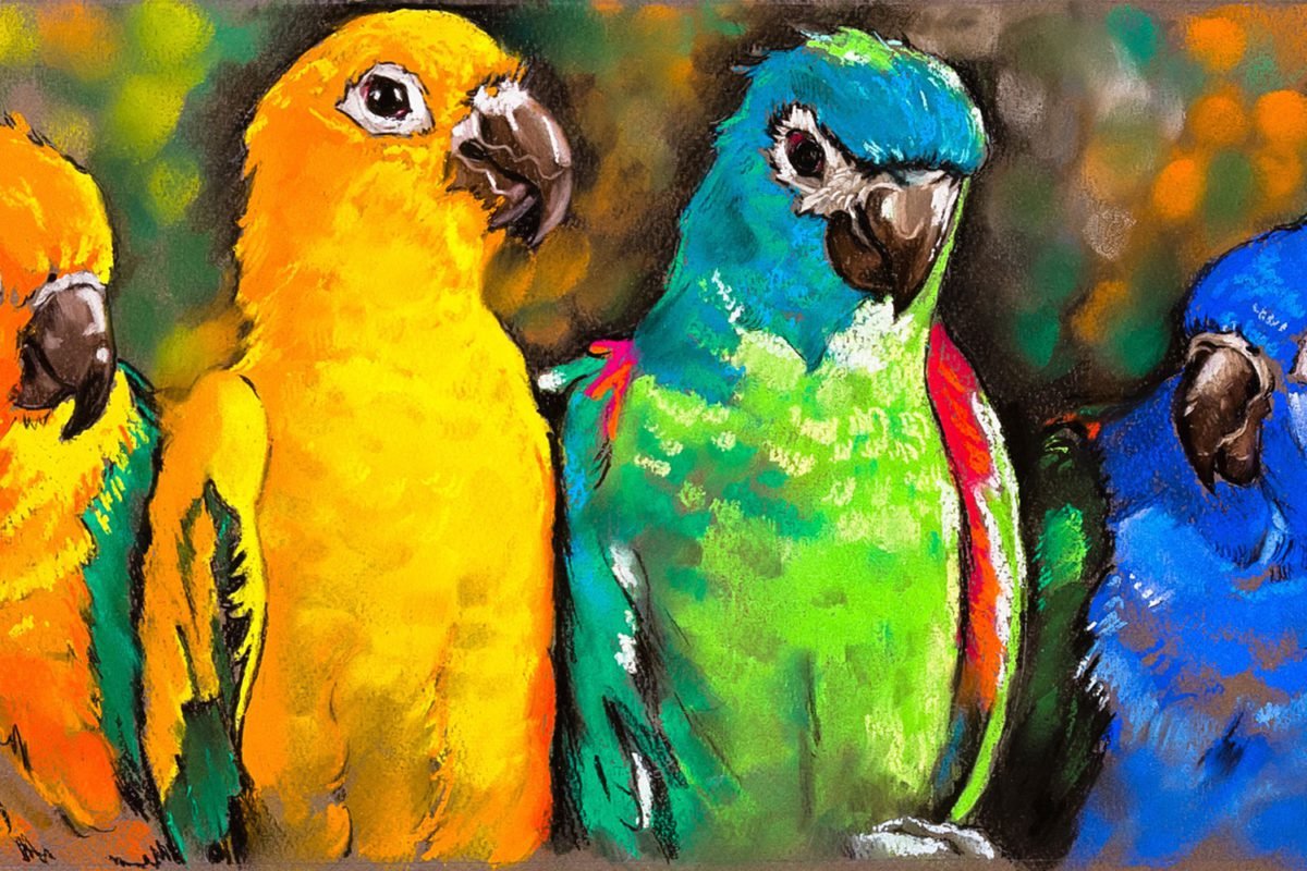 Coloured Parrots – Print A Wallpaper