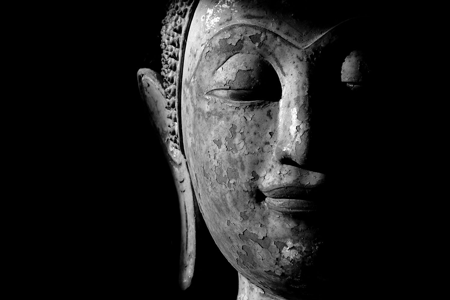 Grey Shadow Buddha – Print A Wallpaper