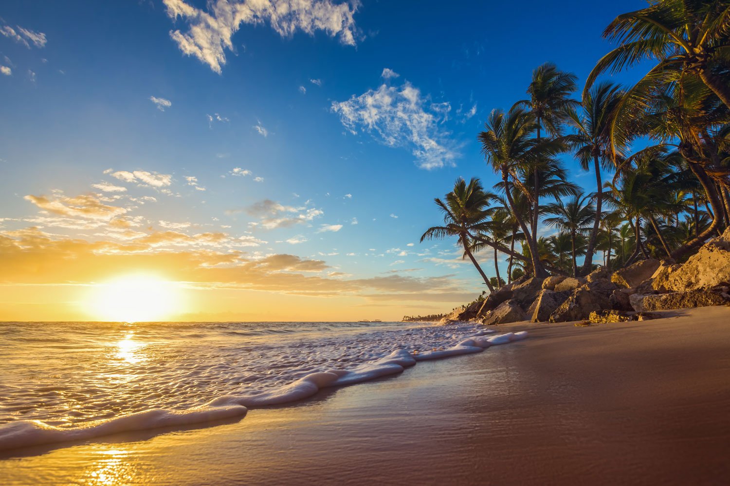 Tropical Sunset – Print A Wallpaper