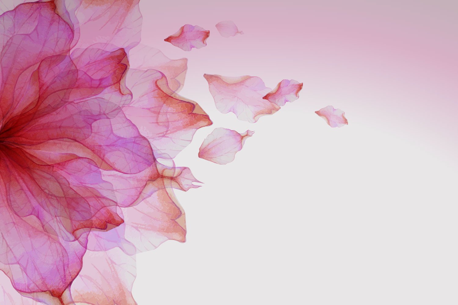 Flower Power Pink – Print A Wallpaper