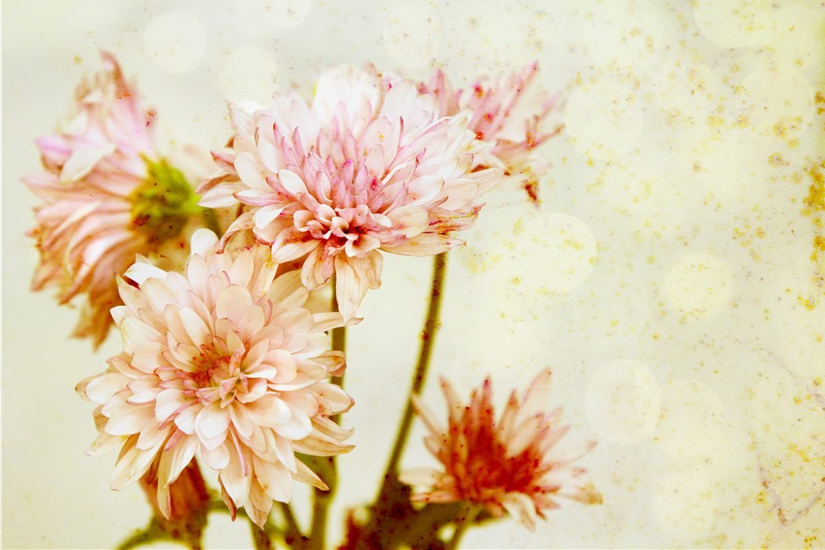 Rusted Flowers – Print A Wallpaper